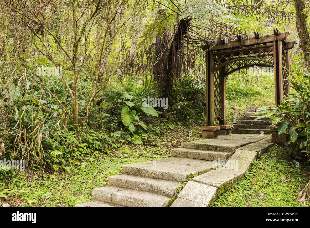 Wooden gate door in the forest at Sun Moon Lake lakeside trail, Taiwan ...