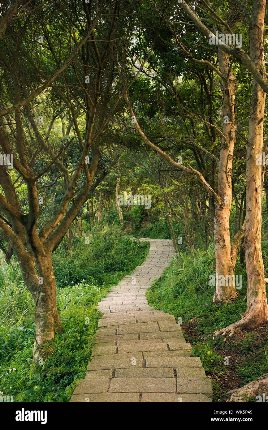 Outdoor trail in forest of park at Xiangshan, Taipei, Taiwan Stock ...
