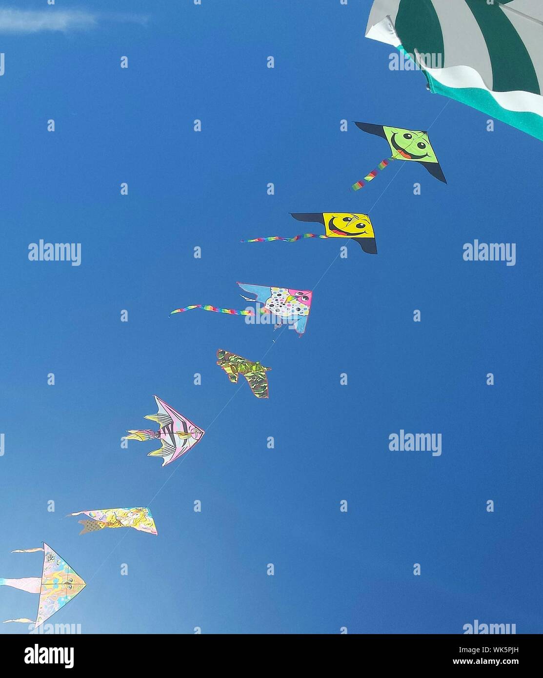 Kites in the sky hi-res stock photography and images - Alamy