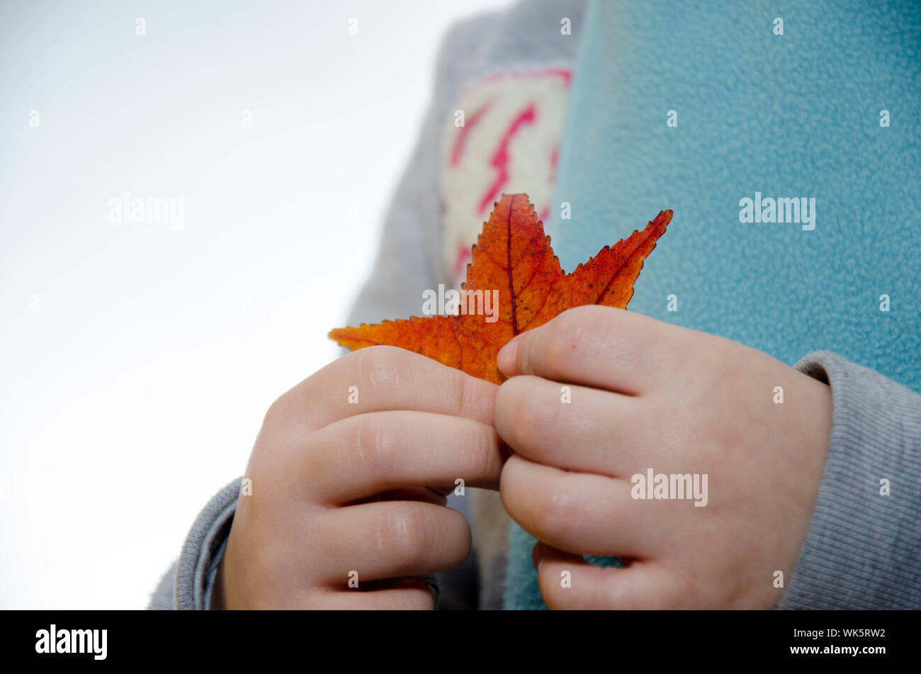 Child leaf hi-res stock photography and images - Alamy