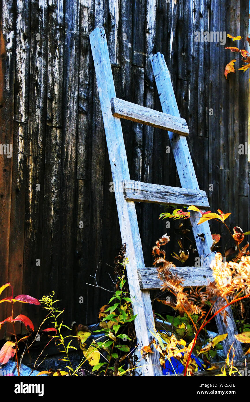 Dramatic rendering of an wood ladder against the wall of a very old ...