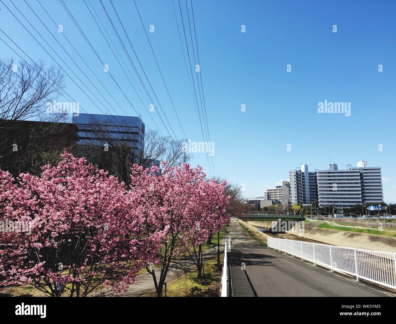 Blossom development hi-res stock photography and images - Alamy