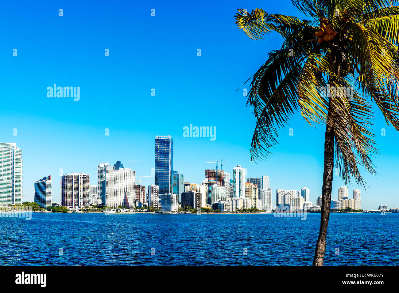 Miami Downtown skyline in daytime with Biscayne Bay Stock Photo - Alamy