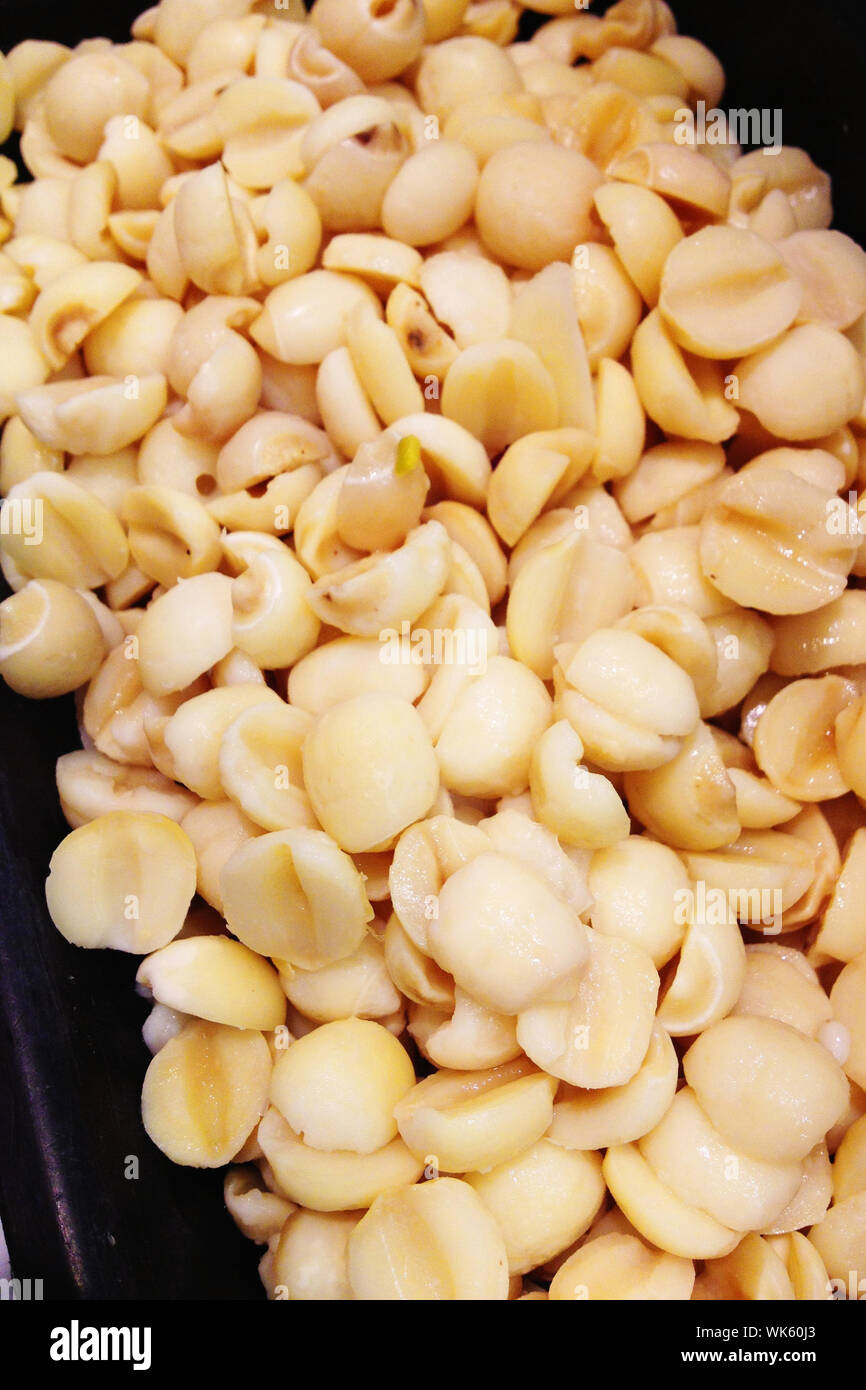 Eating lotus seed hi-res stock photography and images - Alamy