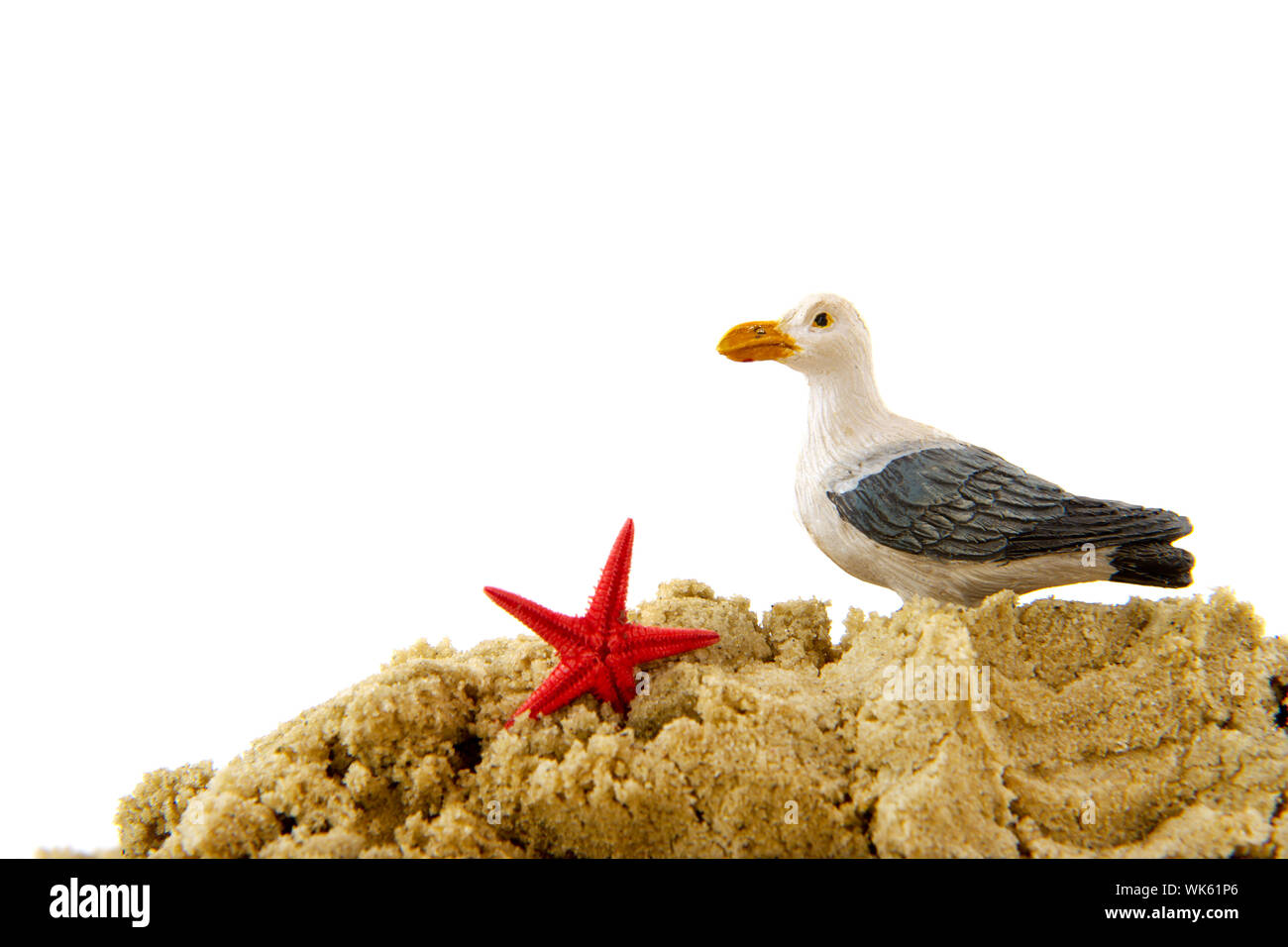 Coast with seagull and starfish at the beach Stock Photo - Alamy