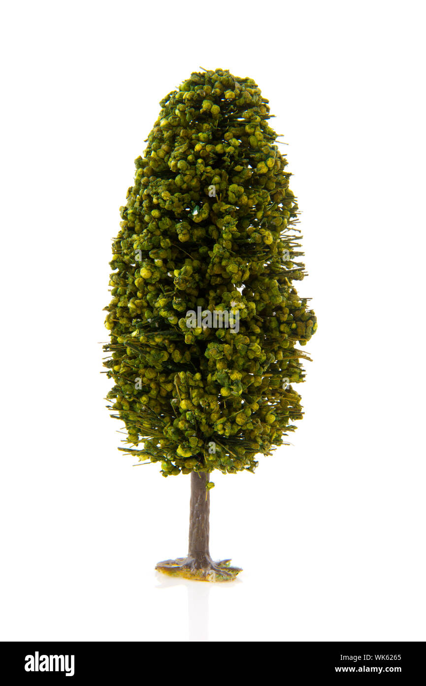 Single green tree isolated over white background Stock Photo - Alamy