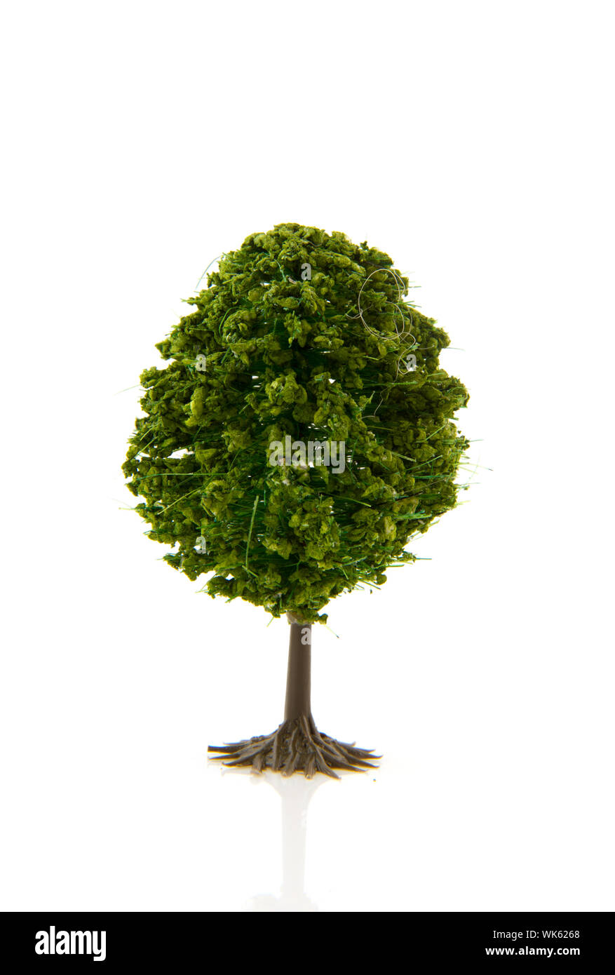Single green tree isolated over white background Stock Photo - Alamy