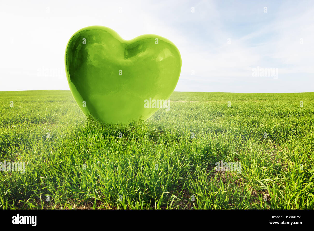 Green heart on the grassy field. Concepts of love, Valentine's Day, but ...