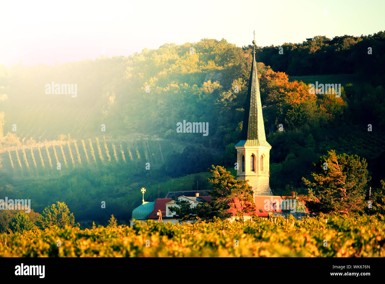 Photo of vineyard and church Stock Photo - Alamy