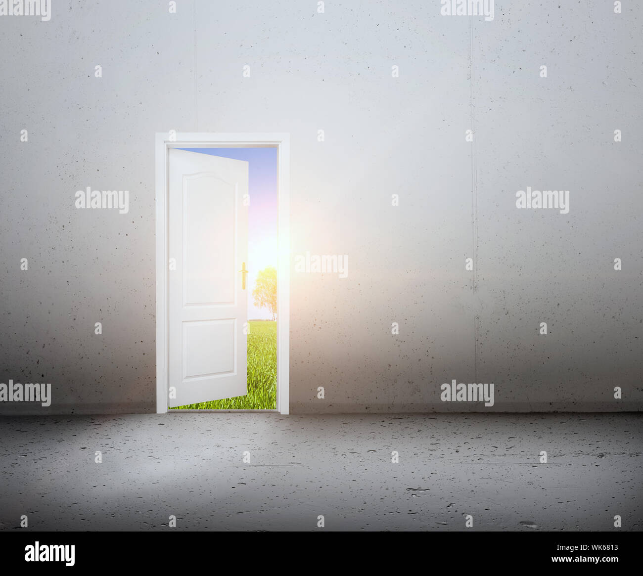 Open door to a new better world, the green summer landscape. Conceptual ...