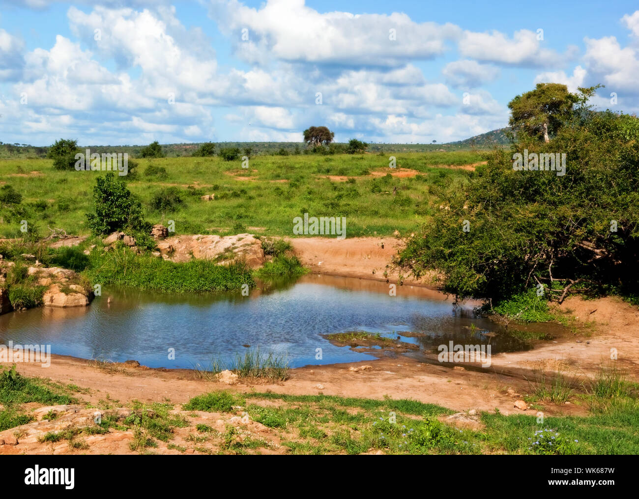 African Water Ponds