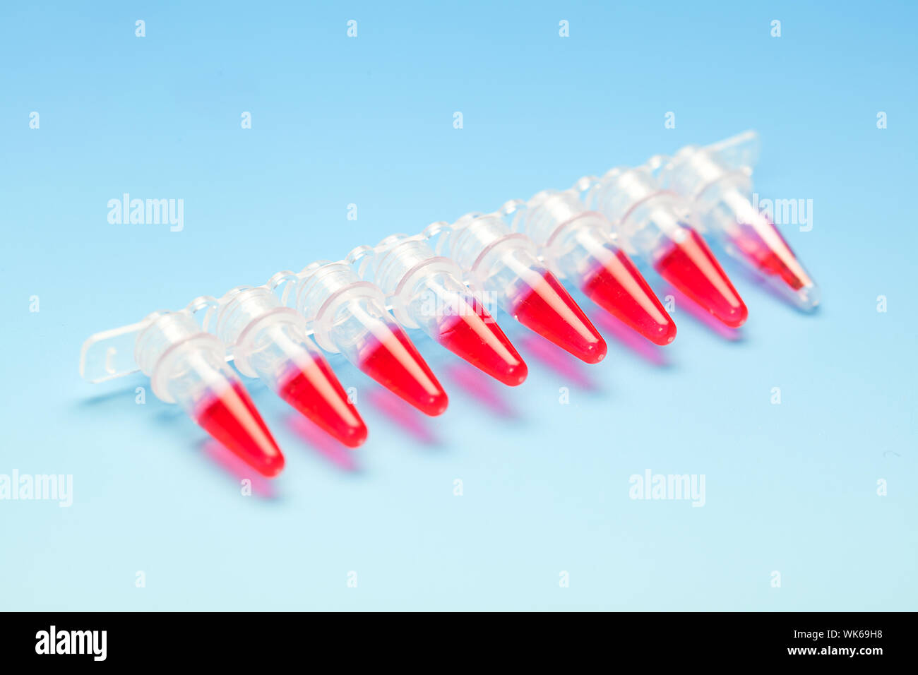 Microtubes with biological samples in criminalistic laboratory for DNA ...