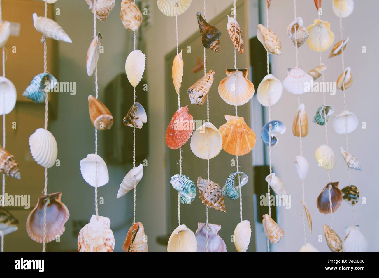 String of shells hi-res stock photography and images - Alamy