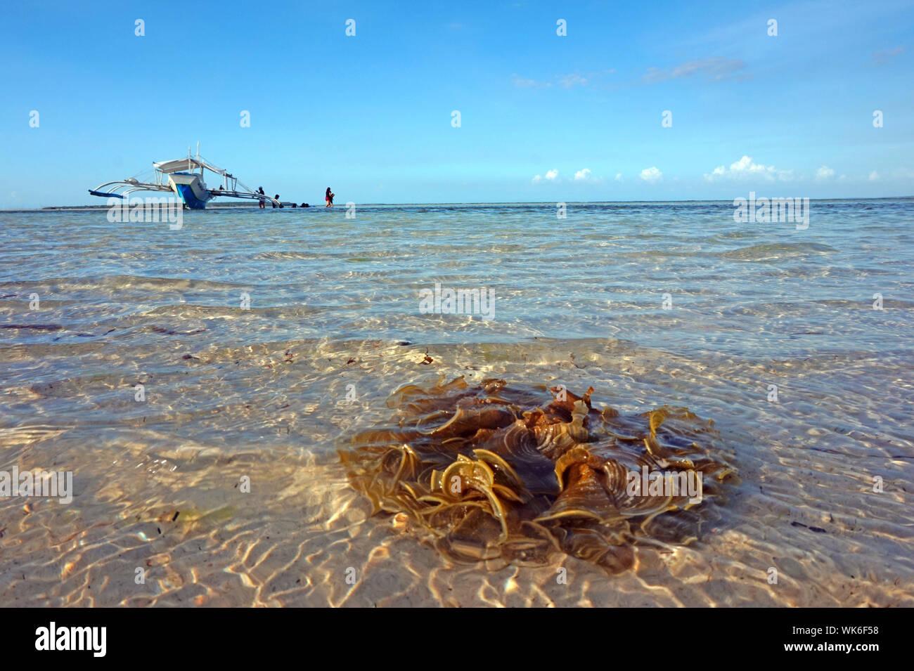 Shallow water level hi-res stock photography and images - Alamy