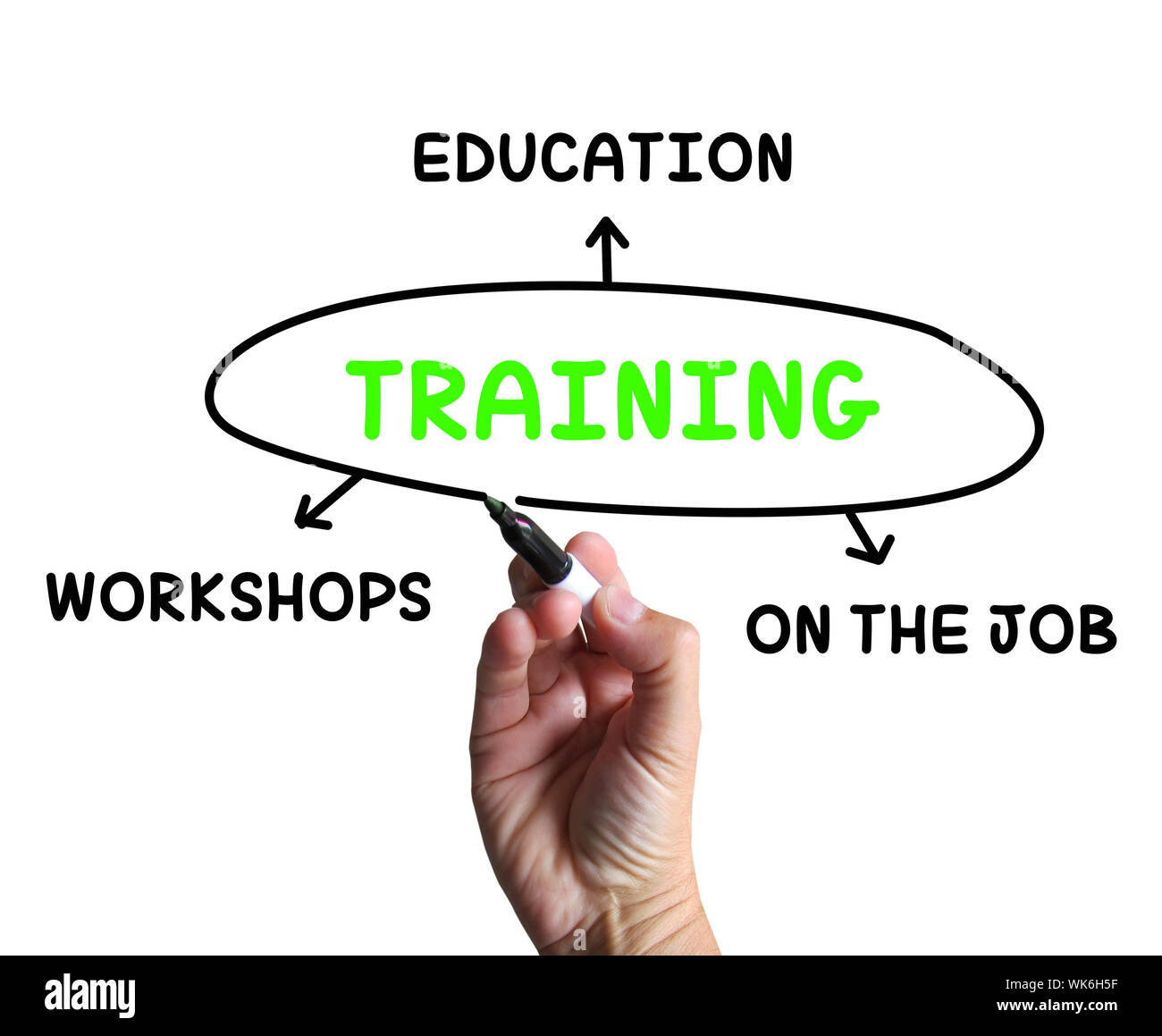 Training Diagram Showing Workshops Groundwork And Educating Stock Photo ...