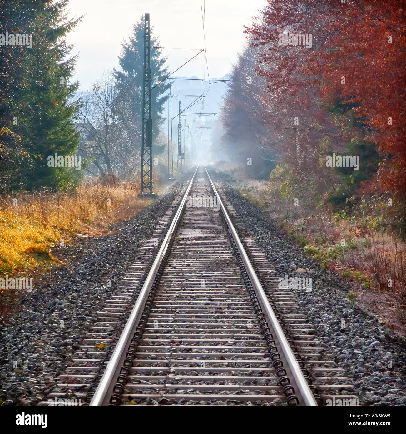 Rayl High Resolution Stock Photography and Images - Alamy