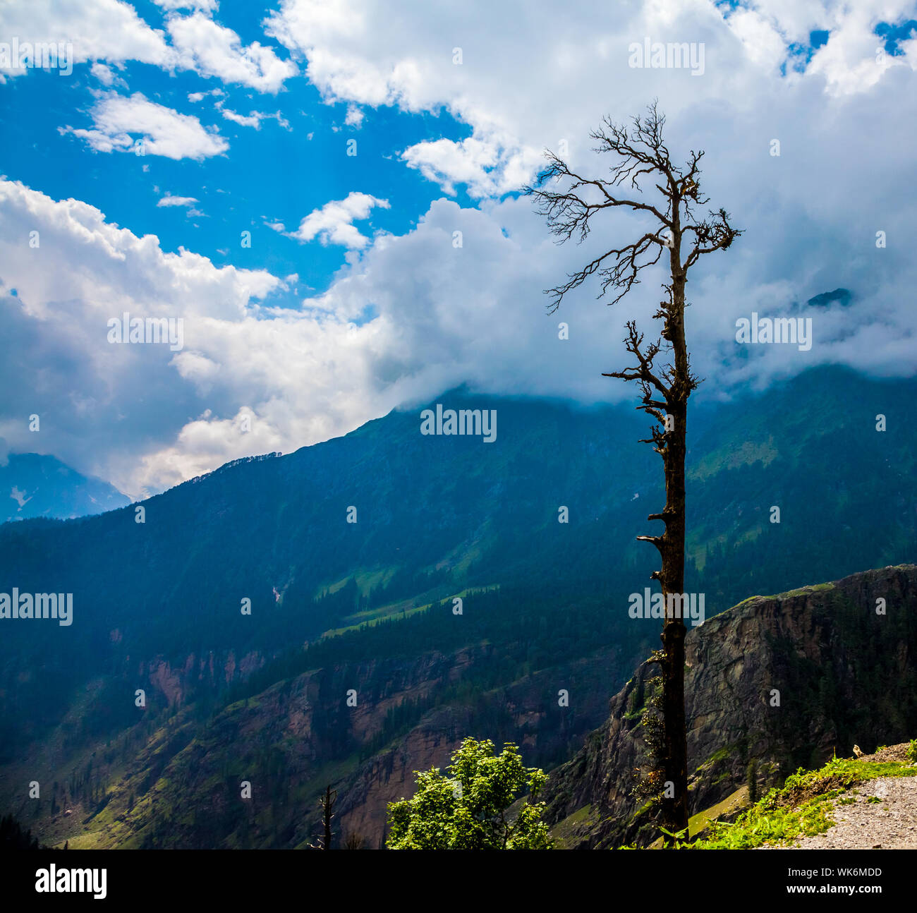India.Mountains and clouds Stock Photo - Alamy