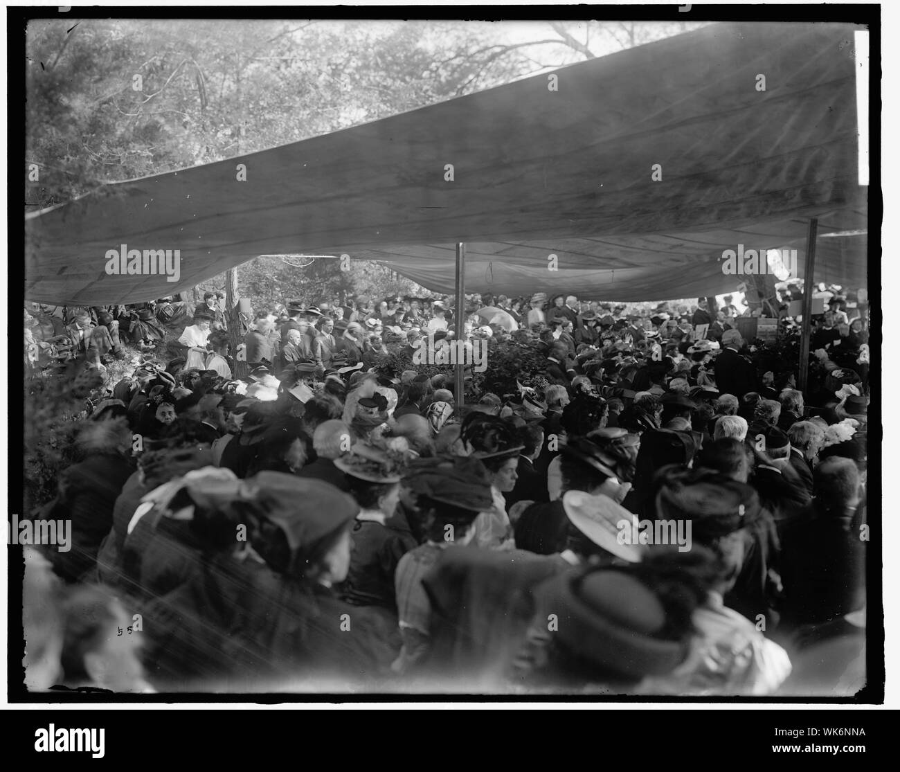 Island life history Black and White Stock Photos & Images - Alamy