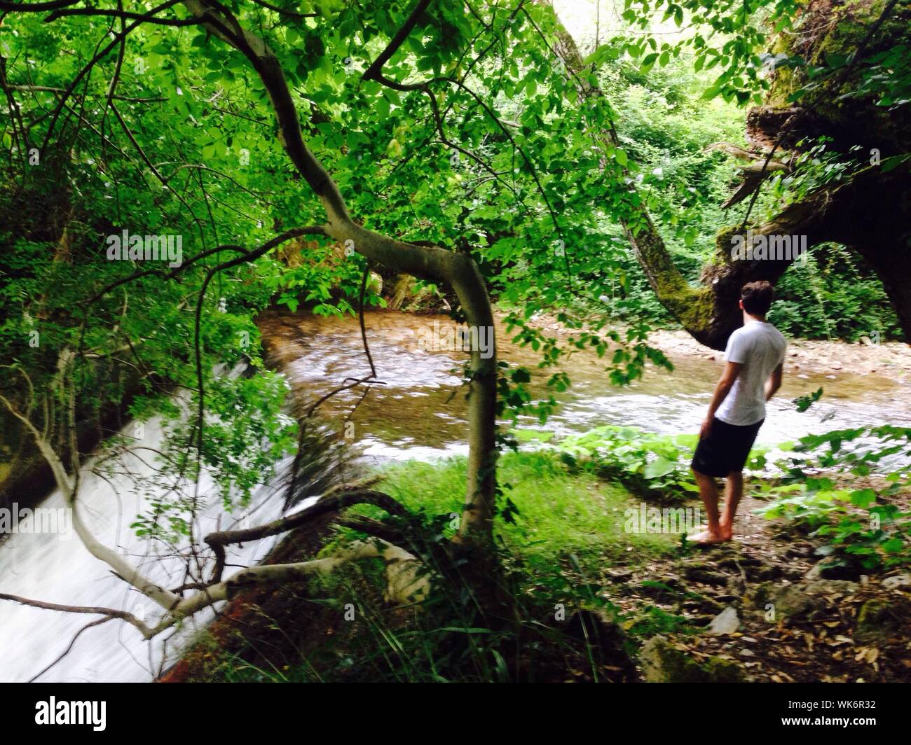 Fallen tree next to river hi-res stock photography and images - Alamy