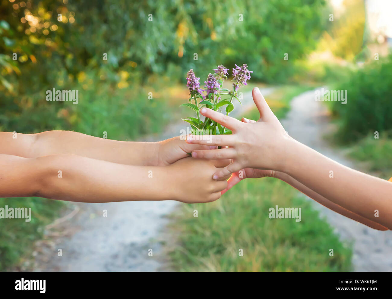 children hold hands together with flowers. Selective focus. nature Stock Photo - Alamy