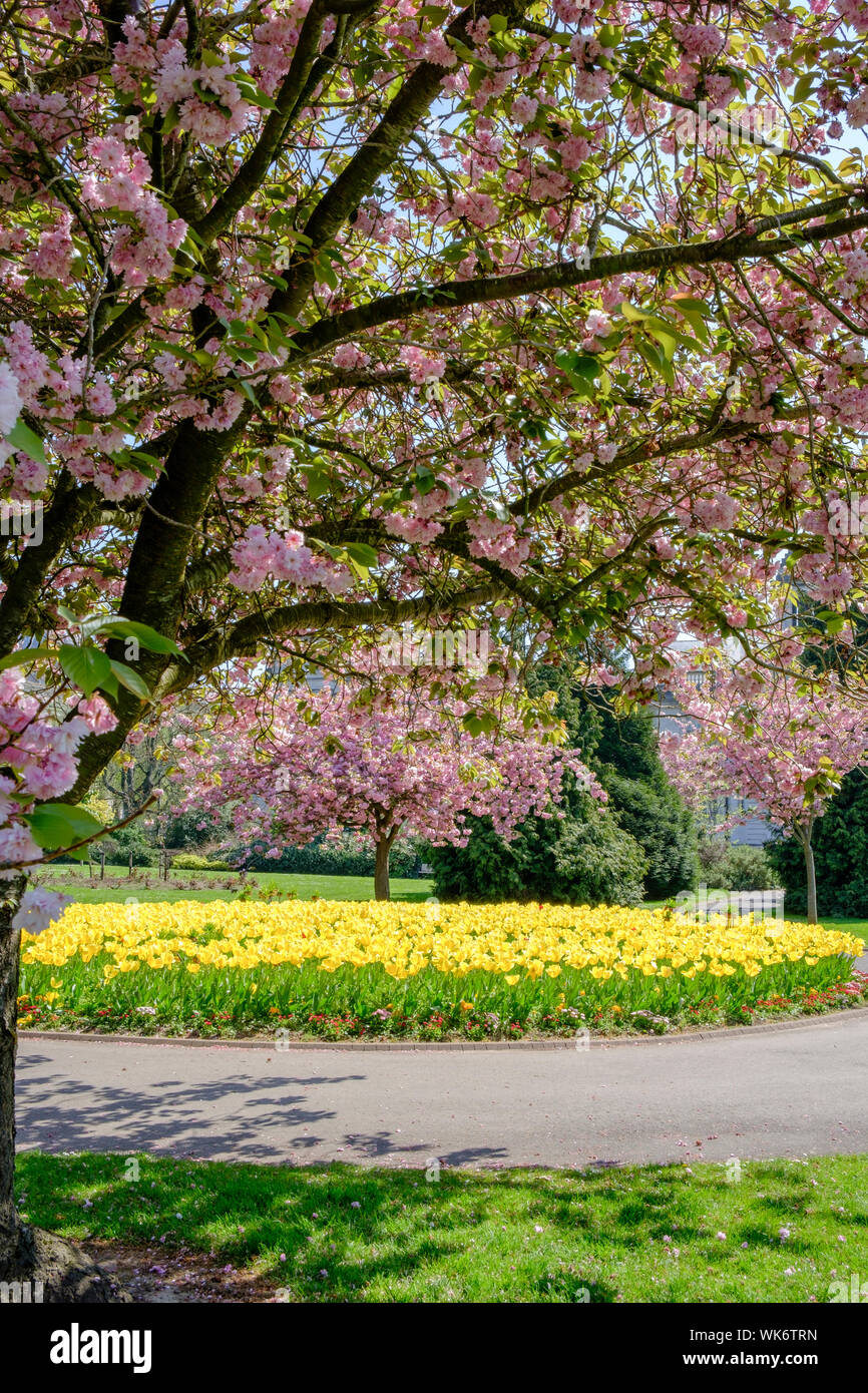 Alexandra Gardens Cathays Park Cardiff Wales Stock Photo - Alamy