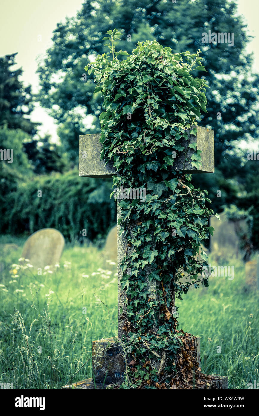 Overgrown cross in a Graveyard, England, UK Stock Photo - Alamy