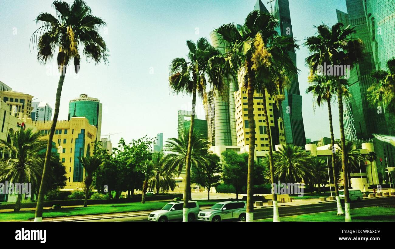 Urban palm trees hi-res stock photography and images - Alamy