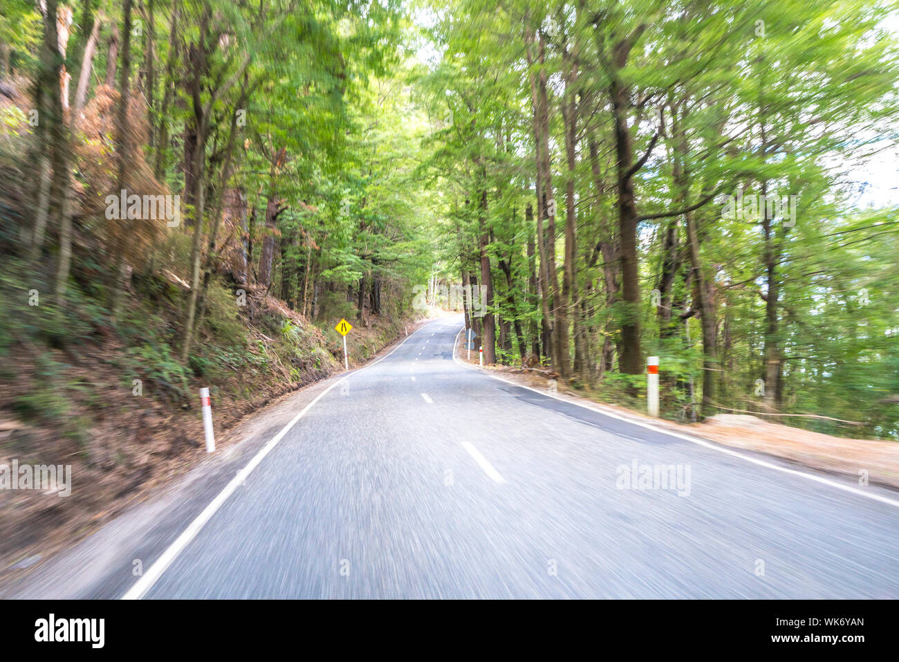 Straight tree lined road hi-res stock photography and images - Alamy