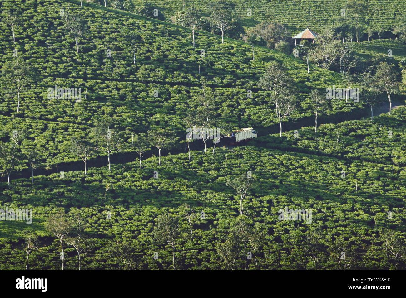 Truck elevated road landscape hi-res stock photography and images - Alamy