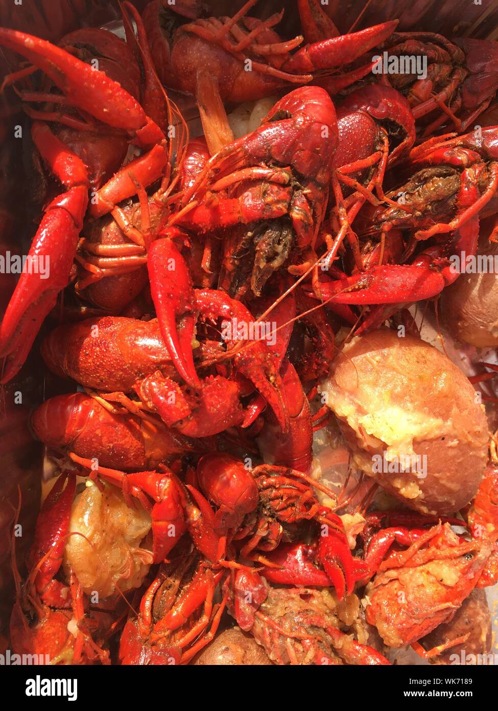 Red crayfish hi-res stock photography and images - Alamy