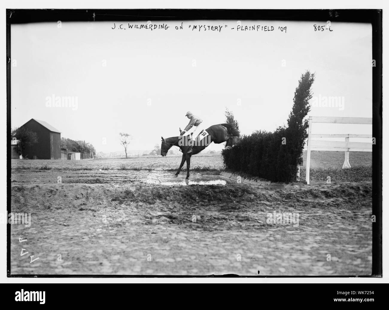 Horse jumping hedge hi-res stock photography and images - Alamy