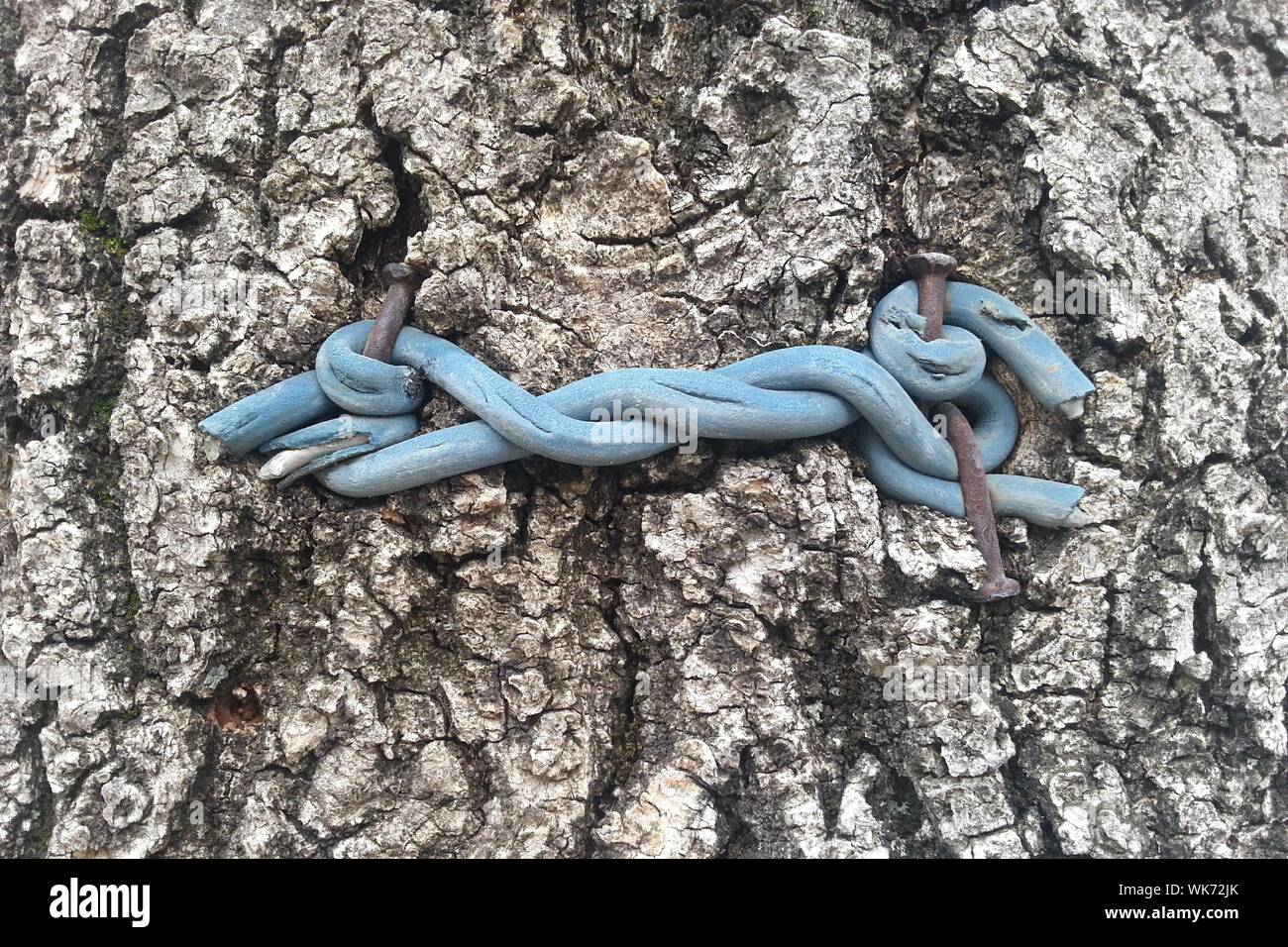 Rope tied to tree hi-res stock photography and images - Alamy