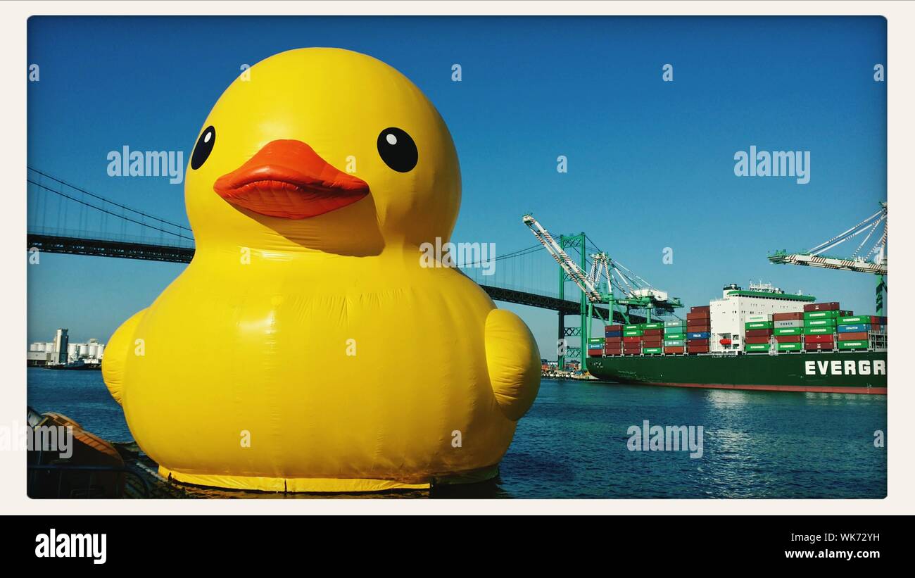 Yellow Plastic Duck High Resolution Stock Photography and Images - Alamy