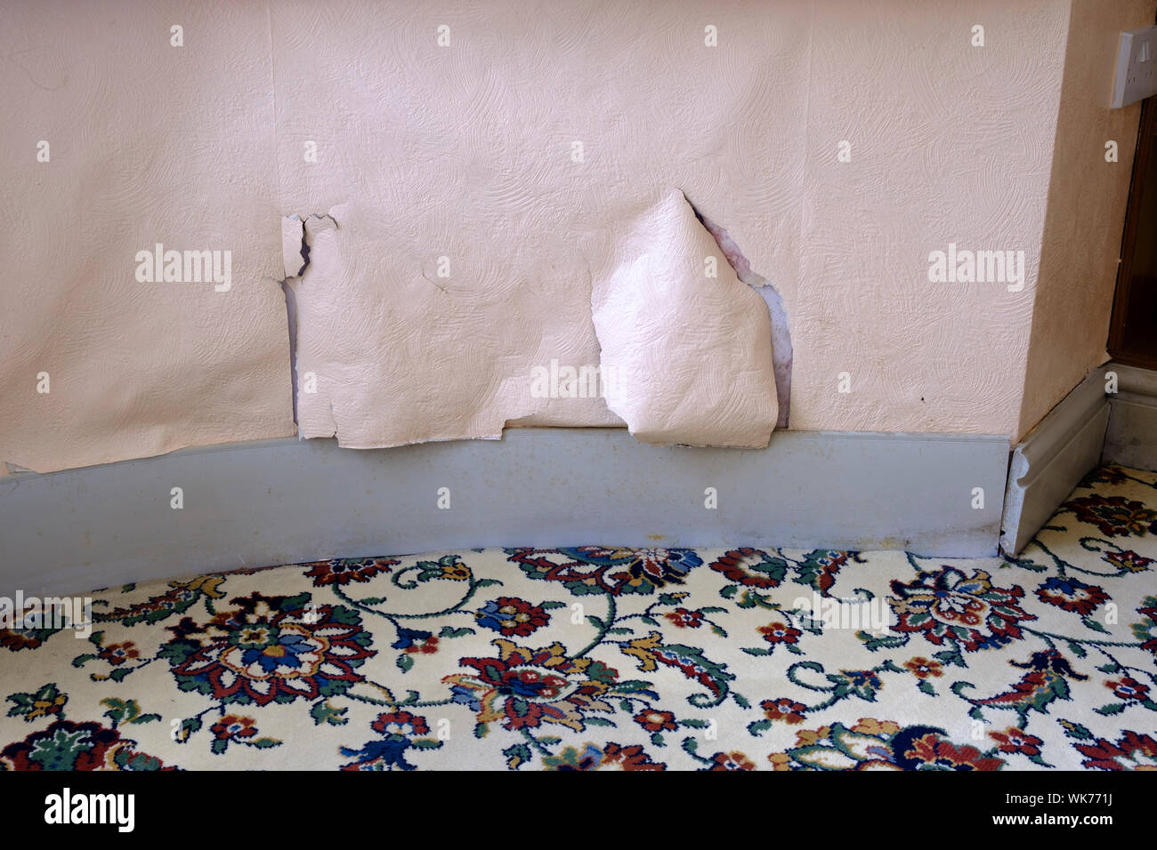 Empty room dirty torn wallpaper Stock Photo - Alamy