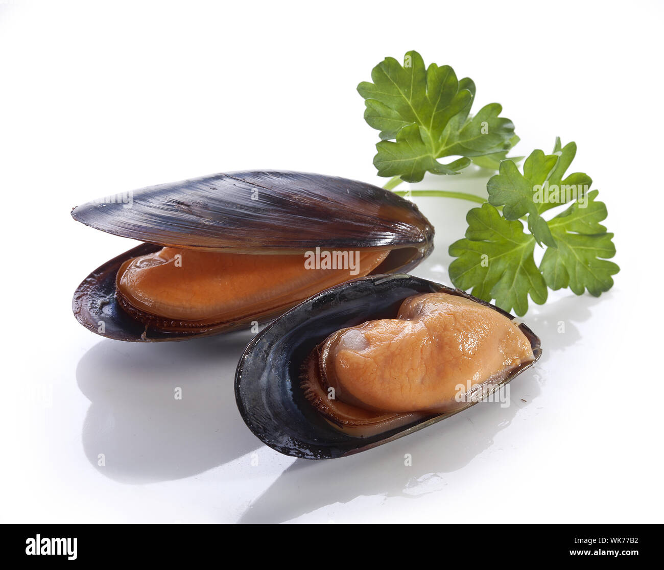 Two mussles in the shell with fresh green parsley Stock Photo - Alamy