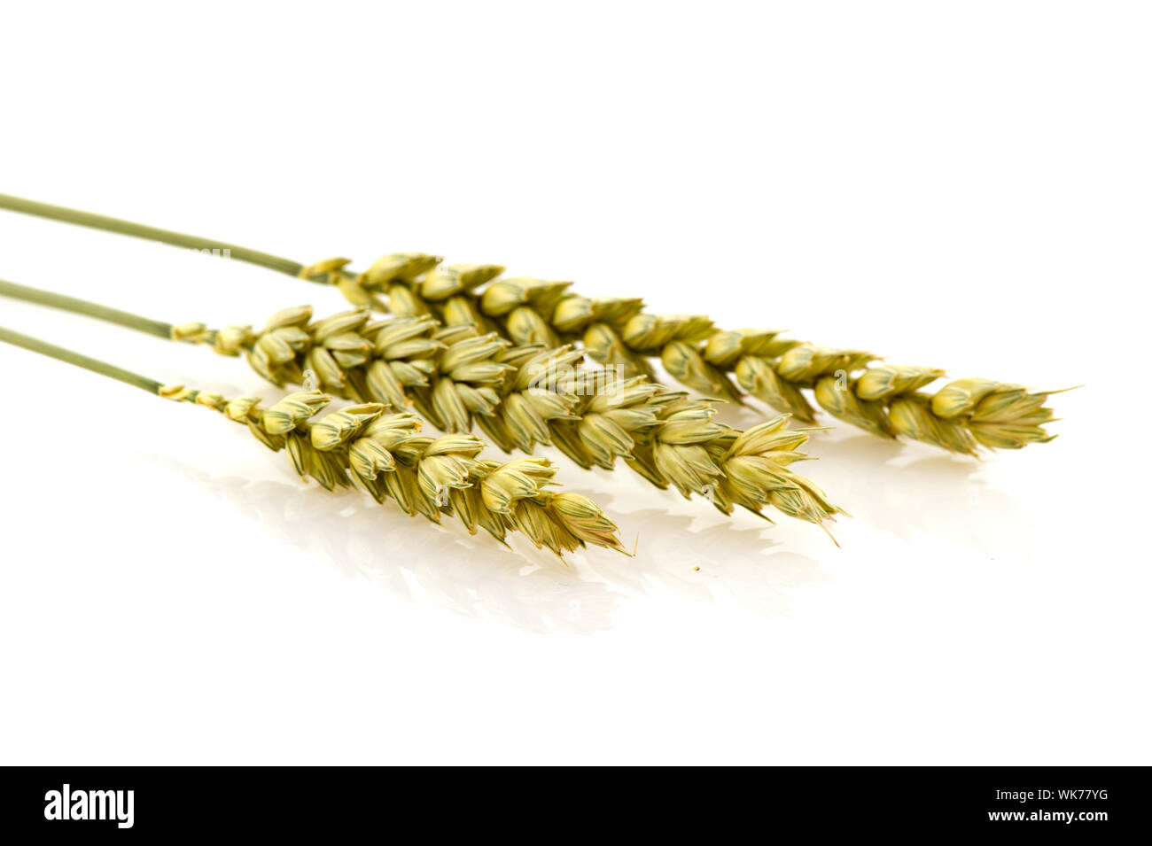 Bunch ripe wheat isolated over white background Stock Photo - Alamy