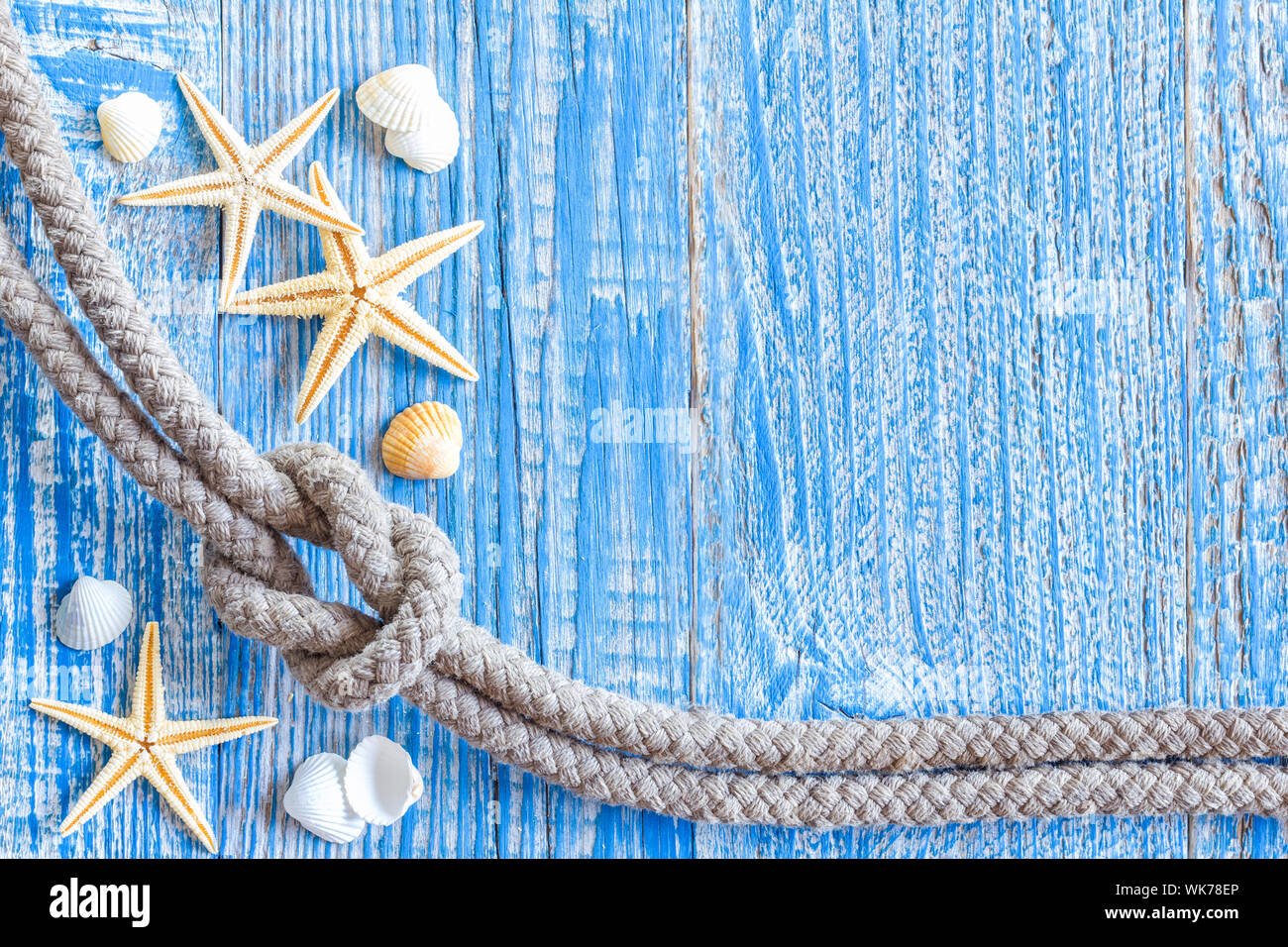 Marine rope with sea shells on deck Stock Photo - Alamy