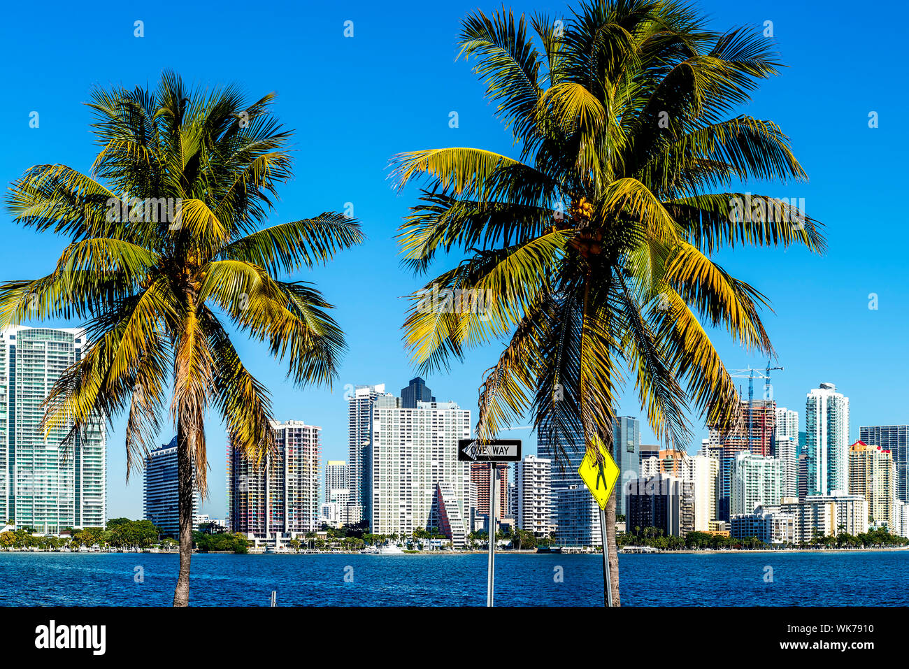 Miami Downtown skyline in daytime with Biscayne Bay Stock Photo - Alamy