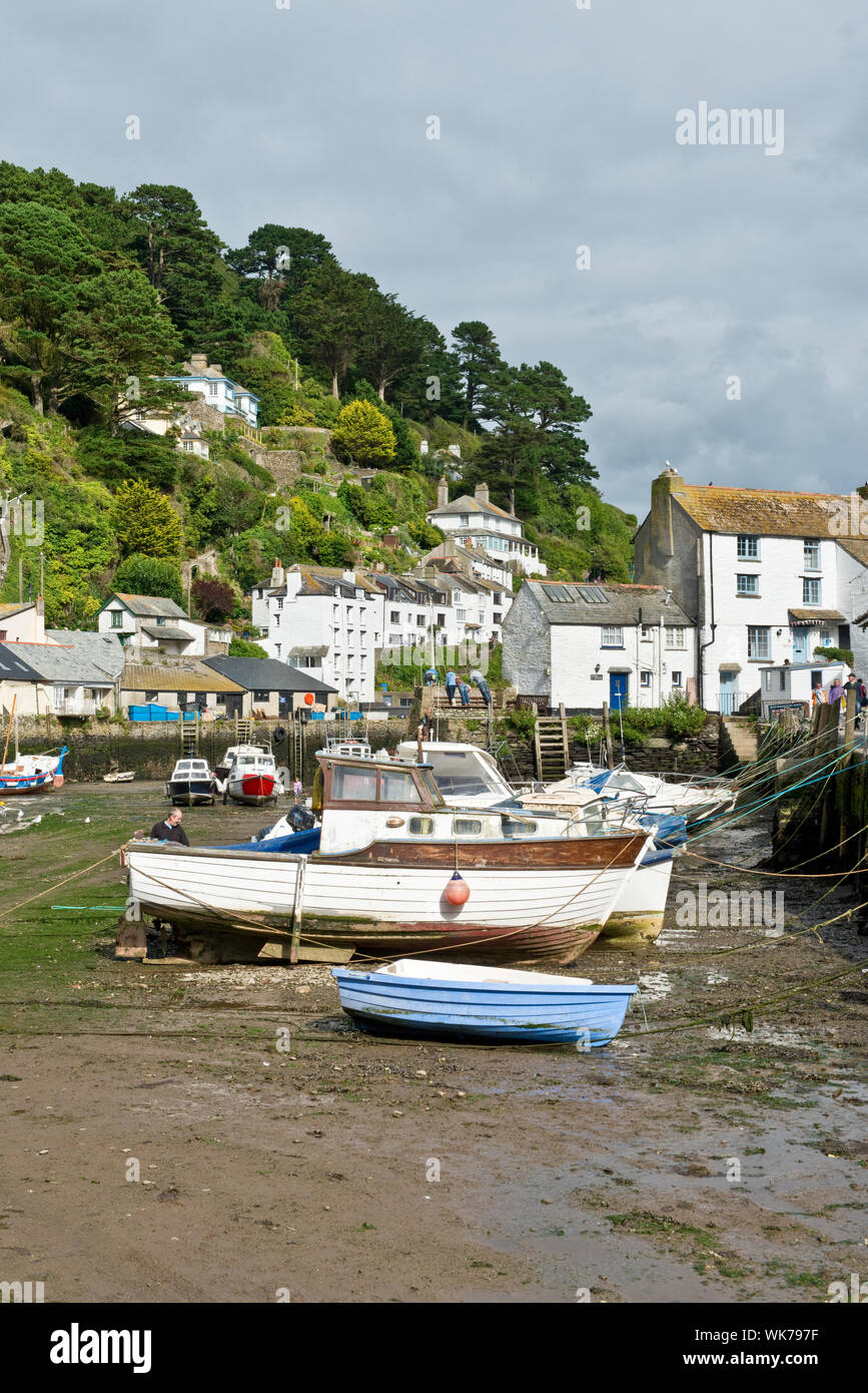 Polperro fishing village and small estuary harbour at low tide ...