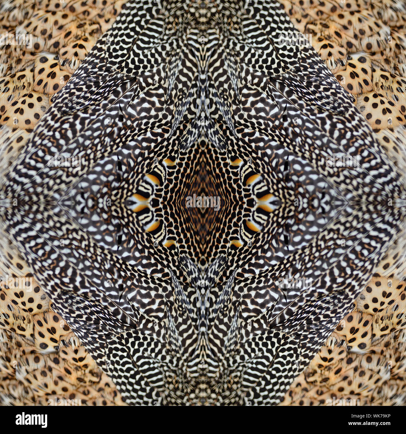 Background pattern made from Green Peafowl feather Stock Photo - Alamy
