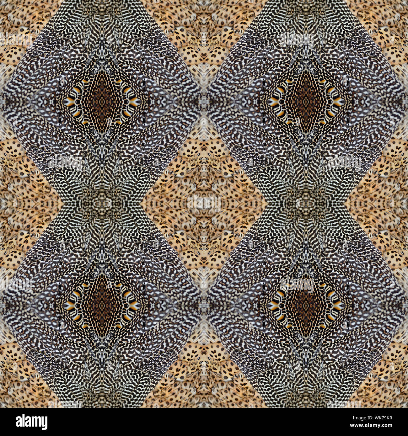 Background pattern made from Green Peafowl feather Stock Photo - Alamy
