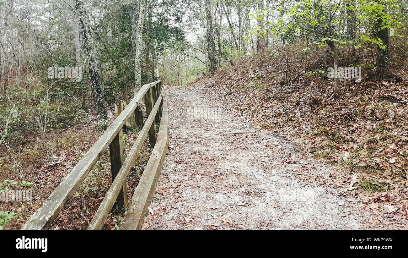 Fence pathway hi-res stock photography and images - Alamy