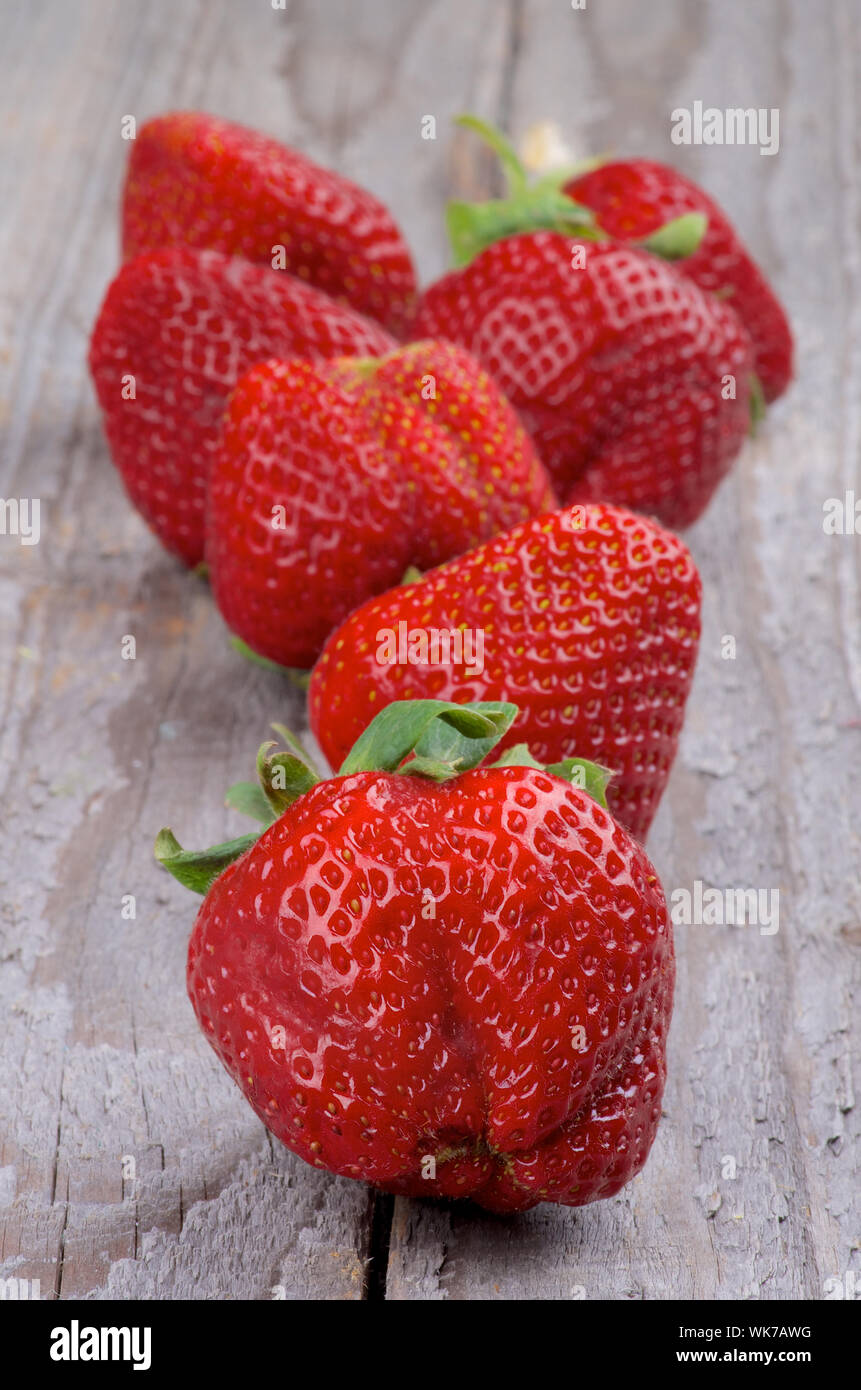 Big Fresh Ripe Strawberries closeup on Rustic Wooden background Stock ...