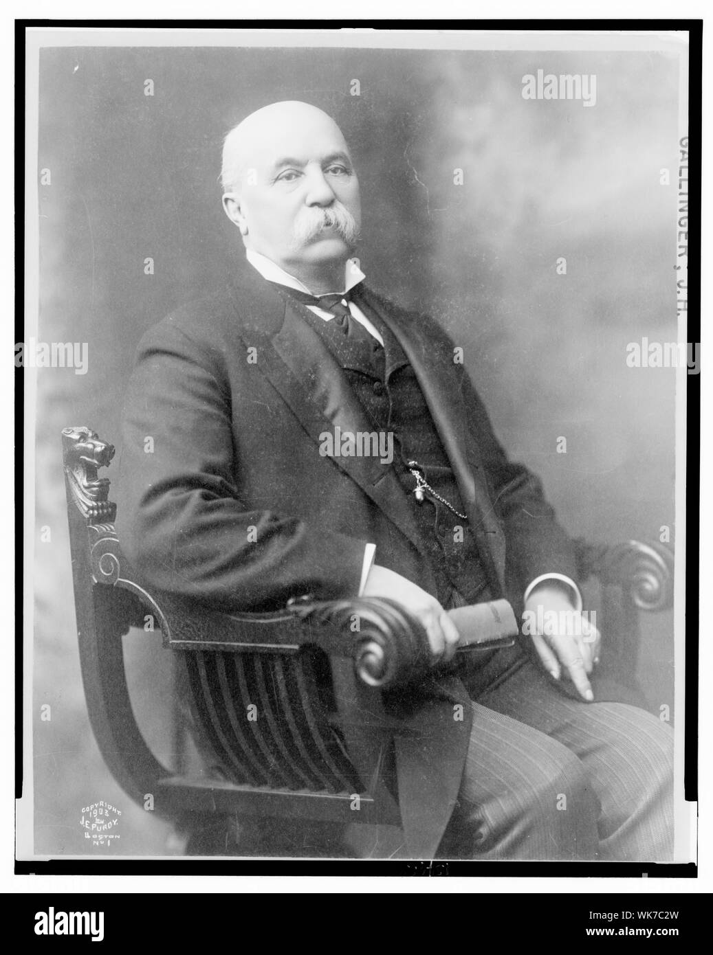 Gallinger hi-res stock photography and images - Alamy