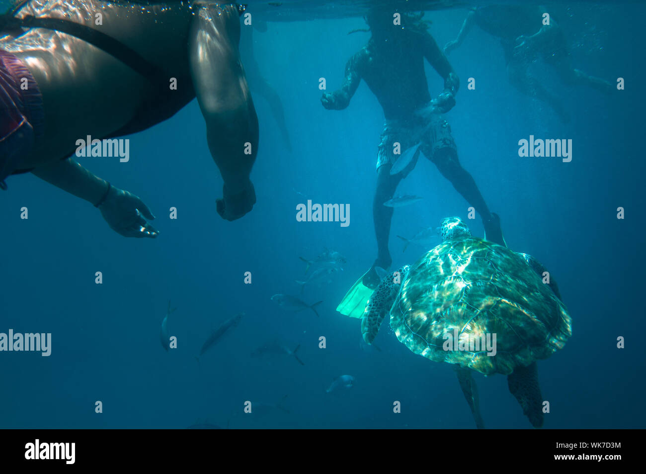 Group of men fish hi-res stock photography and images - Alamy