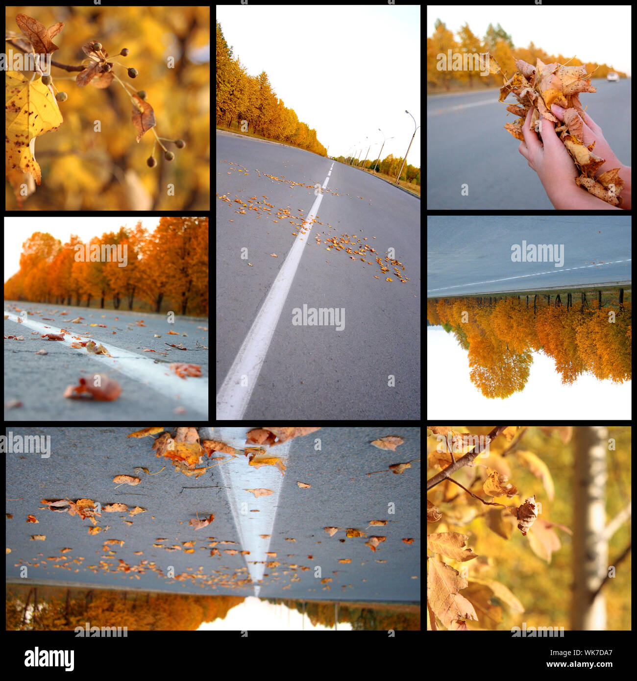 Autumn season beautiful, collage Stock Photo - Alamy