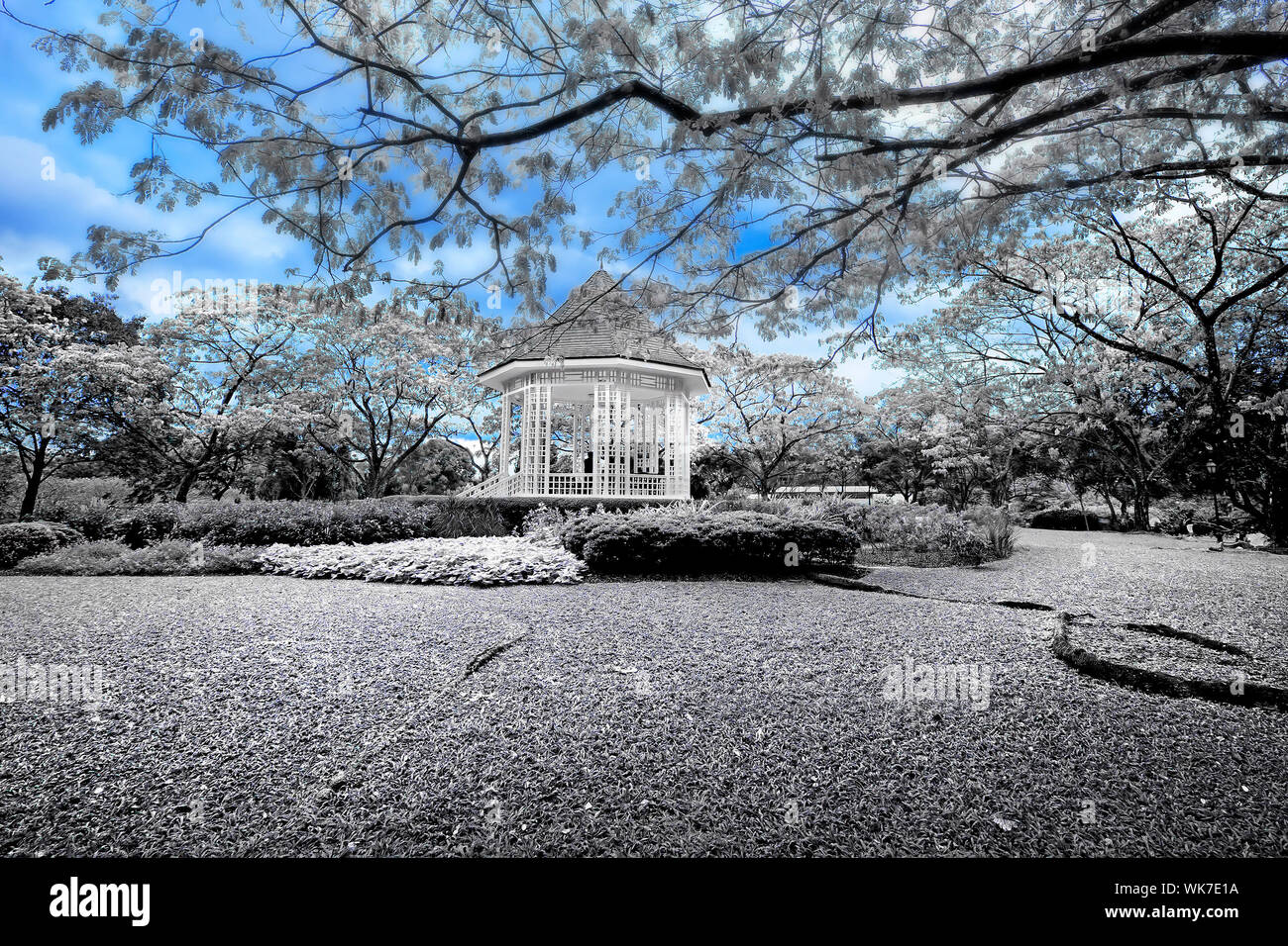 Blue and white picture of the bandstand in Singapore botanic gardens ...