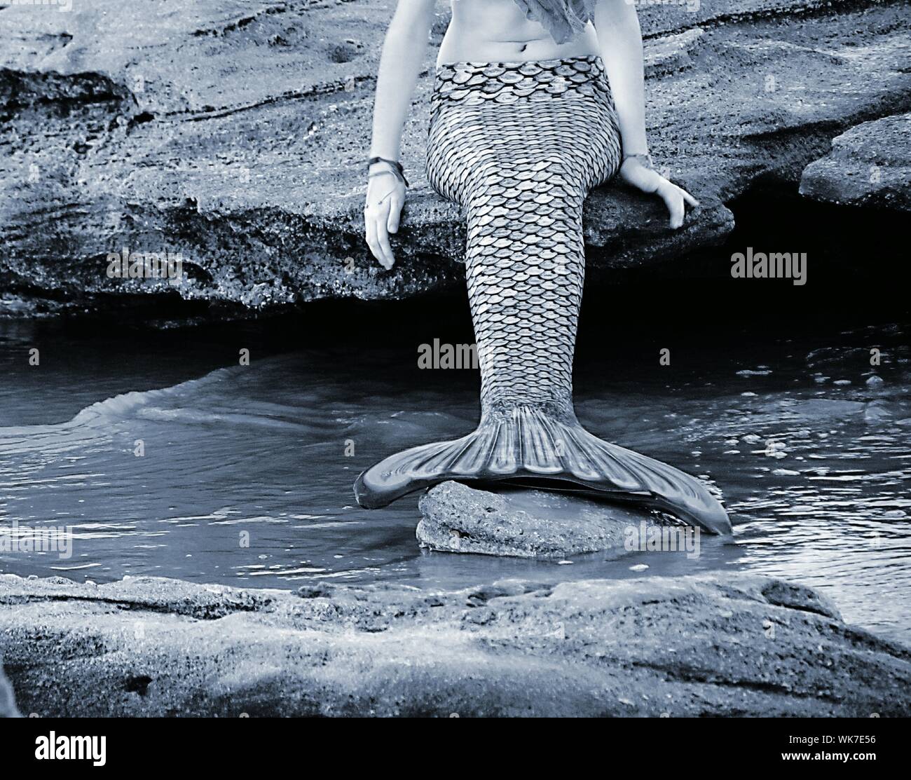 Real Mermaid High Resolution Stock Photography and Images - Alamy