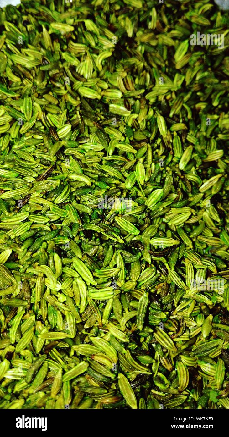 Green fennel seeds hi-res stock photography and images - Alamy