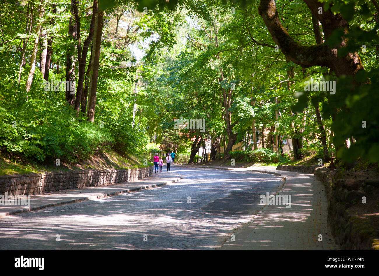 Kaliningrad forest hi-res stock photography and images - Alamy